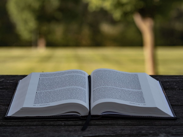 How To Effectively Plan A Chapter – A Quintillion Words | Book Reviewer