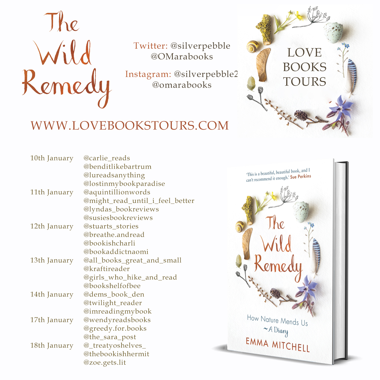 The Wild Remedy – Book Review – A Quintillion Words | Book Reviewer