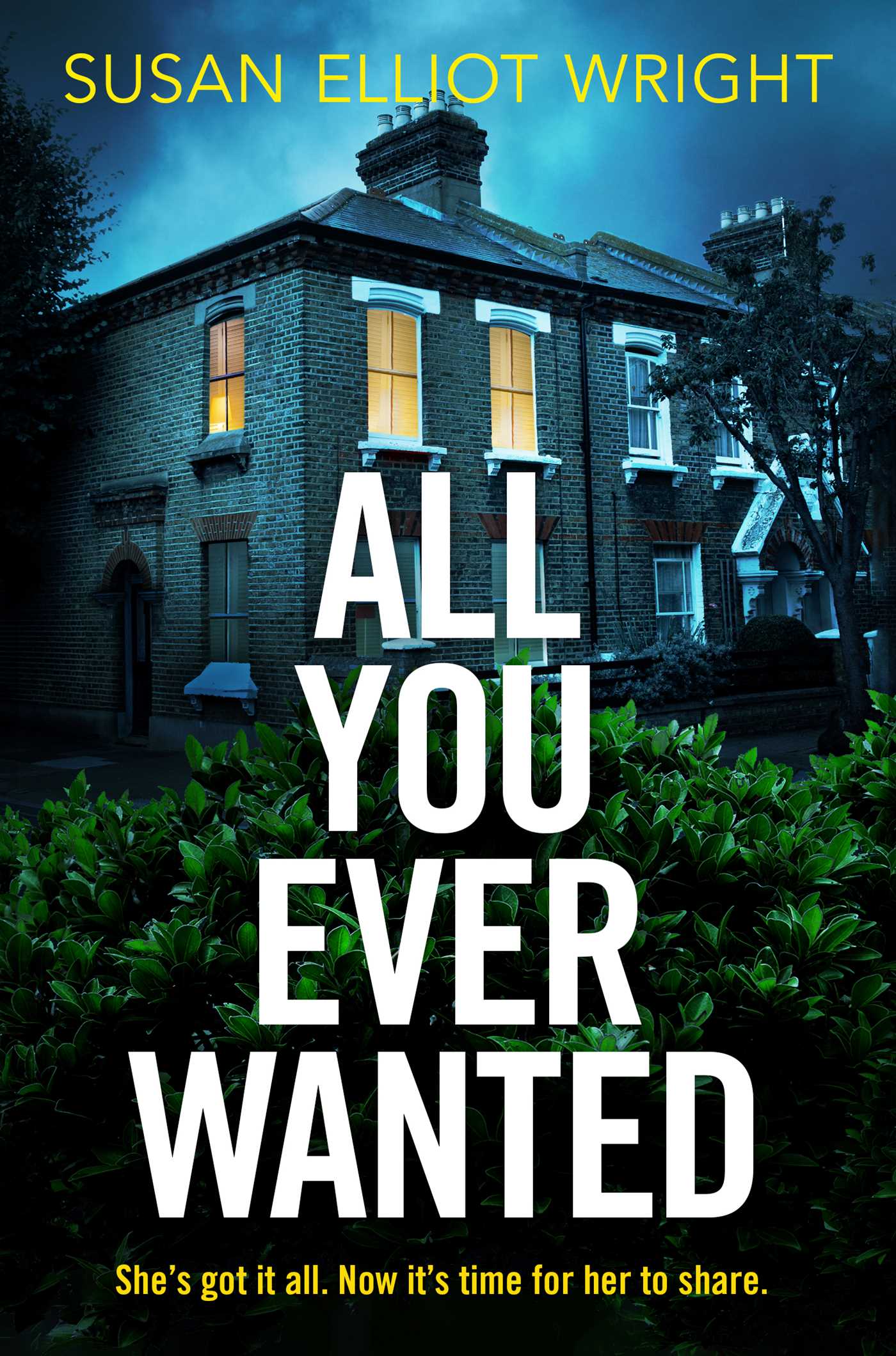 All You Ever Wanted – Book Review – A Quintillion Words | Book Reviewer